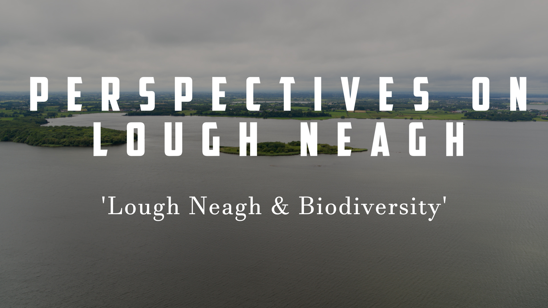 Biodiversity of Lough Neagh | Wetlands & Wildlife